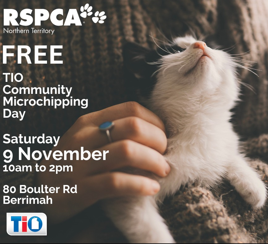 RSPCA and TIO Microchipping Day! | City of Darwin | Darwin Council, Northern Territory